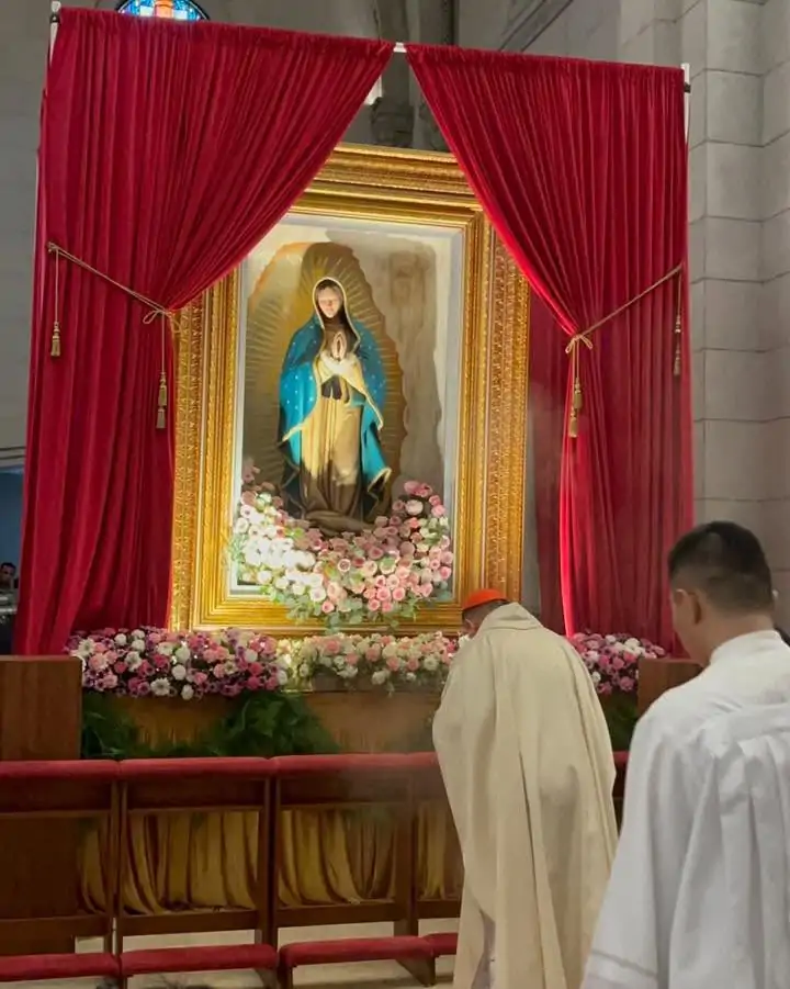 JesCom Philippines | A Mother comes home: Thousands welcome Our Lady of ...